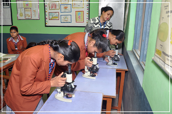 Falicities - DGR School